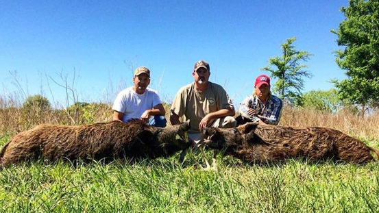 Q&A: Answering your questions about wild Russian boars in Texas